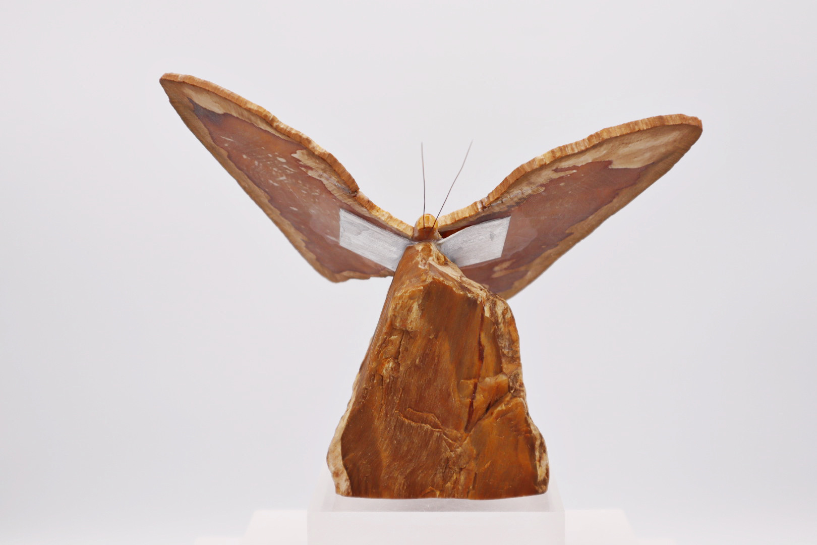 (Deaccessioned) Petrified wood butterfly carving - The Lizzadro Museum ...