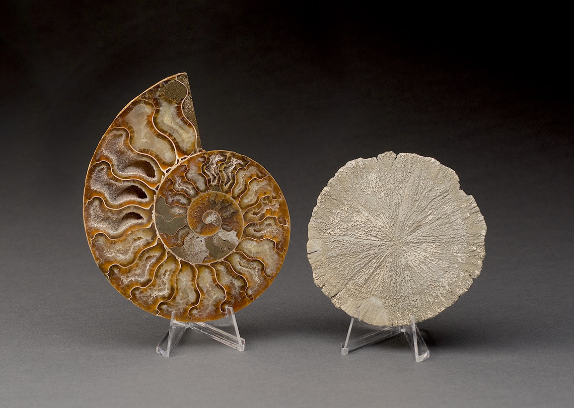 Lizzadro Museum Shop - The Lizzadro Museum of Lapidary Art